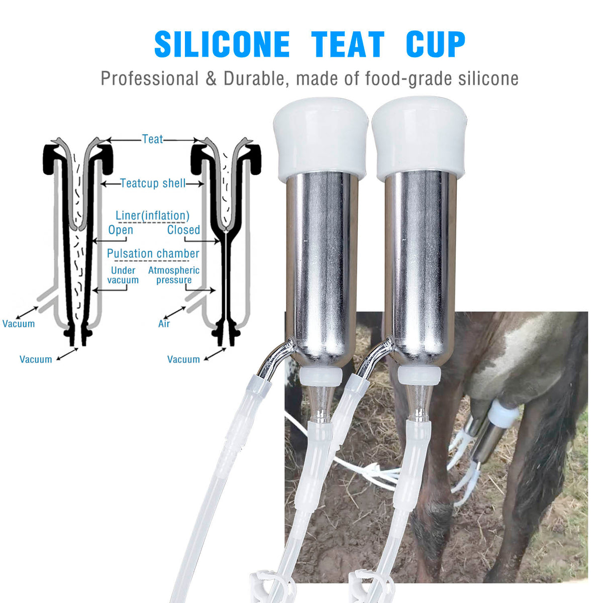Hantop UnitedFarm Milking Machine for Cow, 12L (Classic Model)
